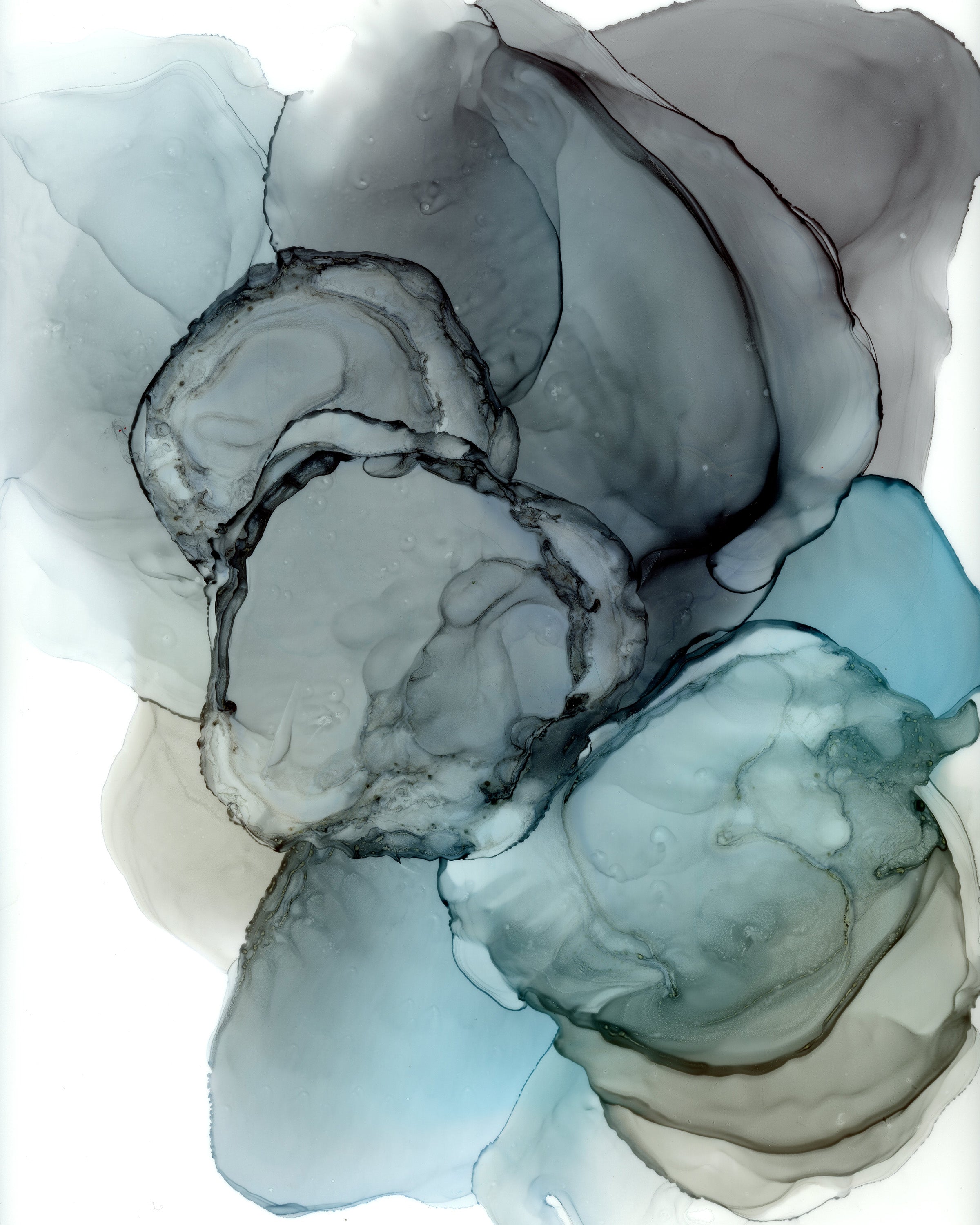 Discovery Collection – smilesbymegan